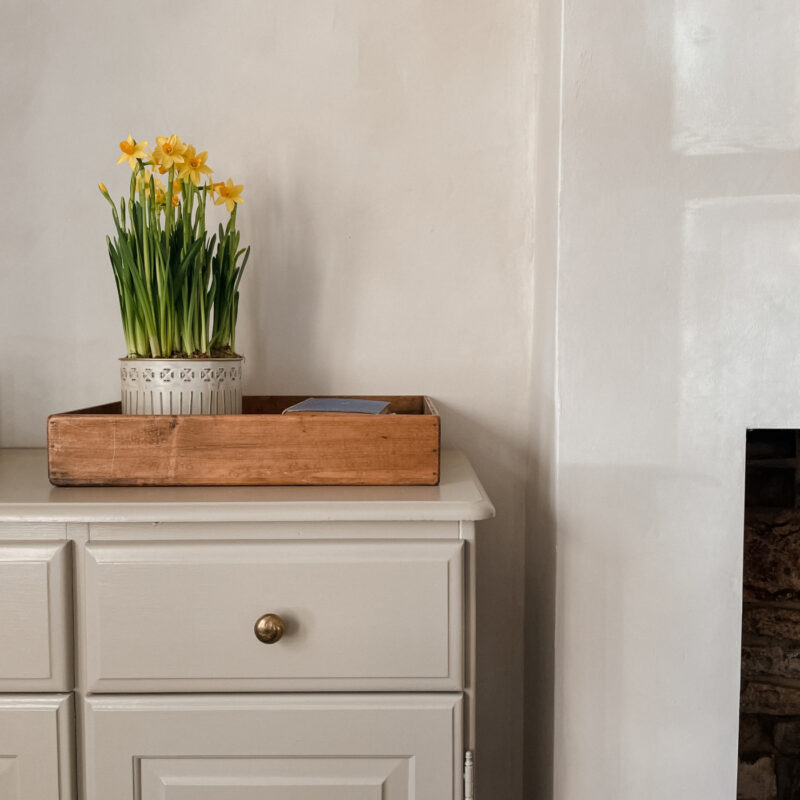 What's in Season in March? Produce, Planting | Slow Living LDN.