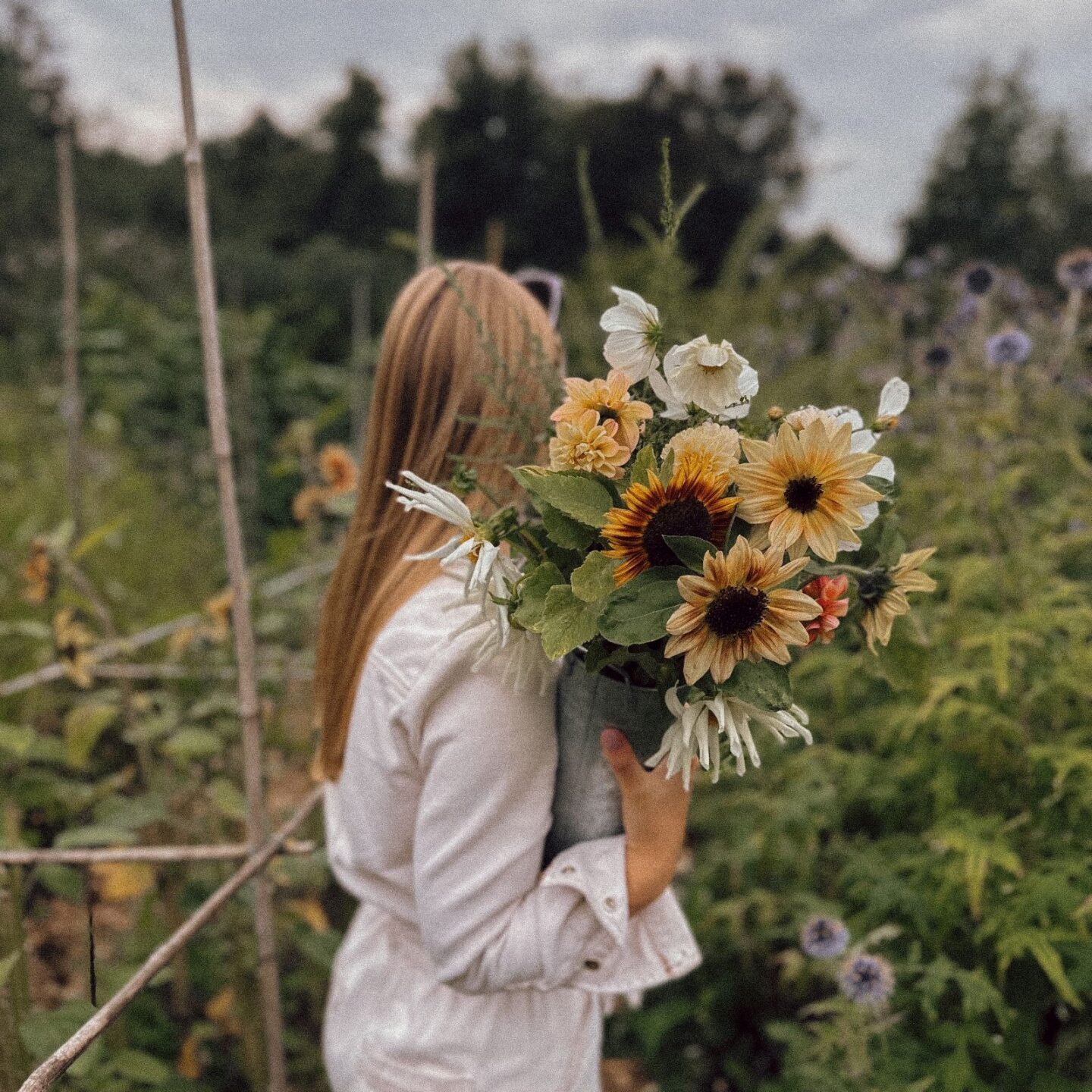 What's in season in September? UK fruit, vegetables | Slow Living LDN.