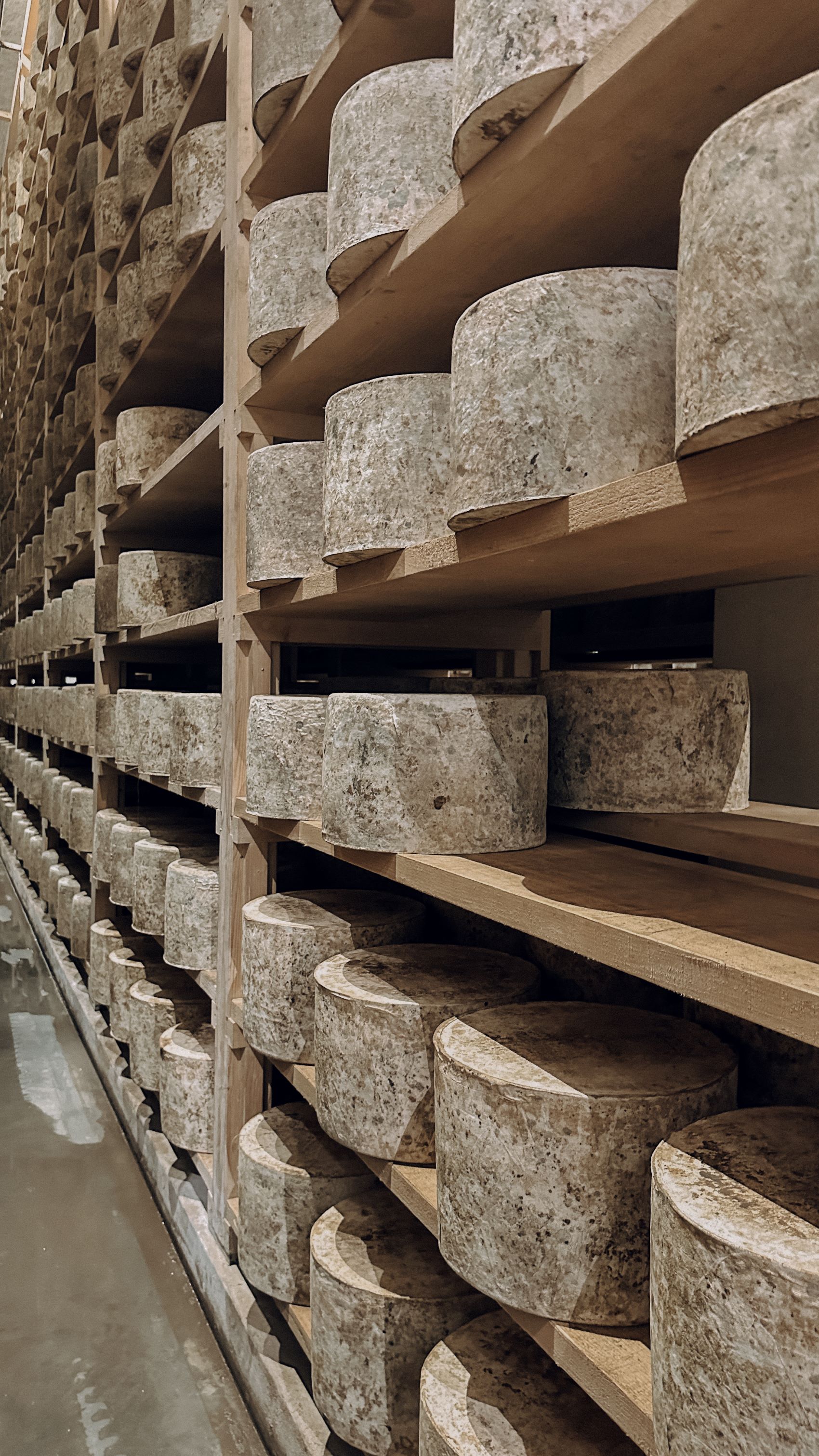 Tom Calver, Westcombe Dairy on artisan Somerset cheddar | Slow Living LDN.