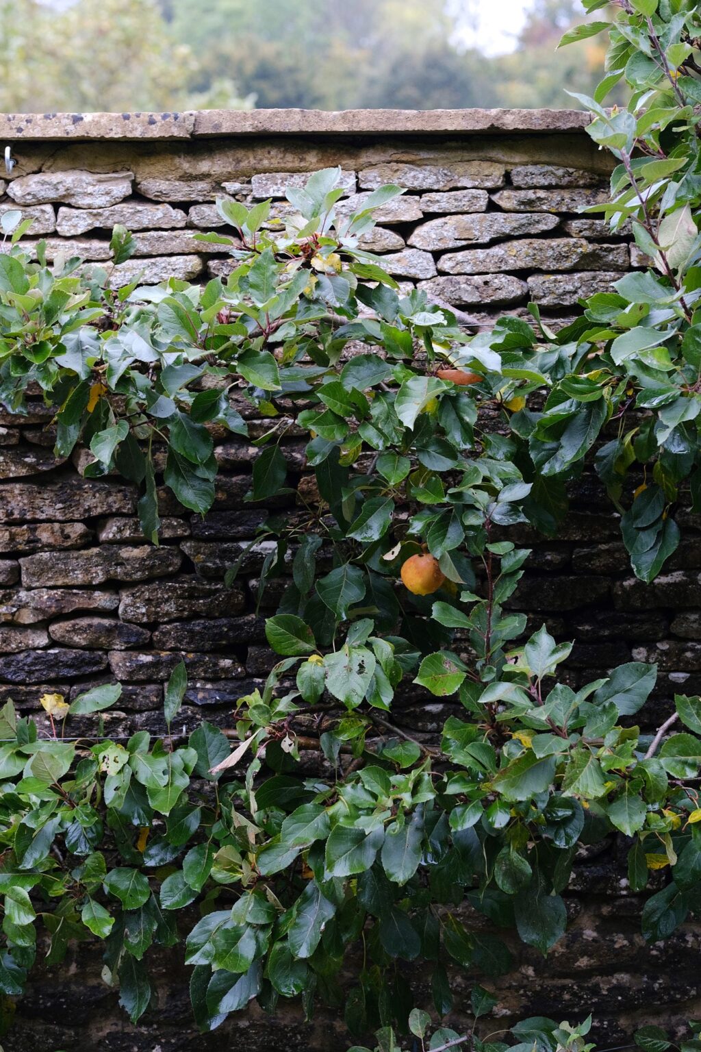 John and Tess Lister, Shipton Mill interview | Slow Living LDN.
